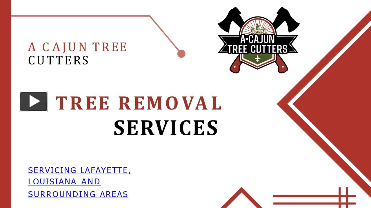 PPT – Tree Pruning (2) PowerPoint presentation | free to download - id ...
