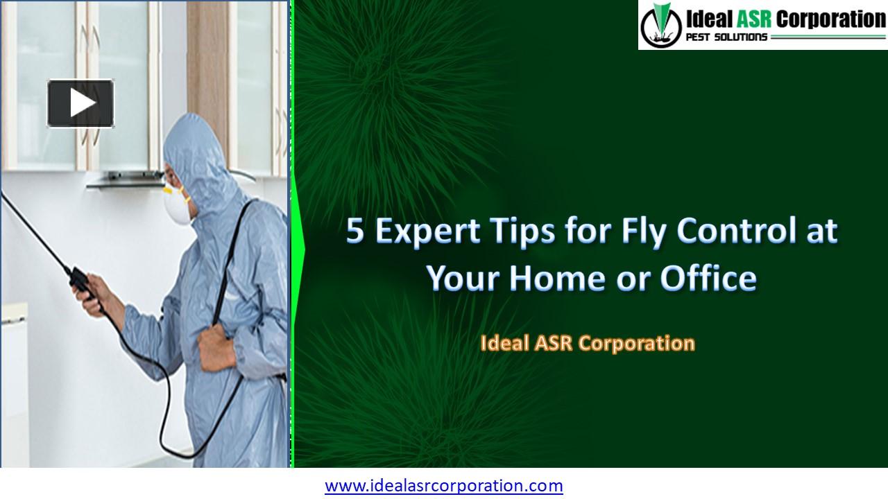 PPT – 5 Expert Tips for Fly Control at Your Home or Office -IdealASR ...