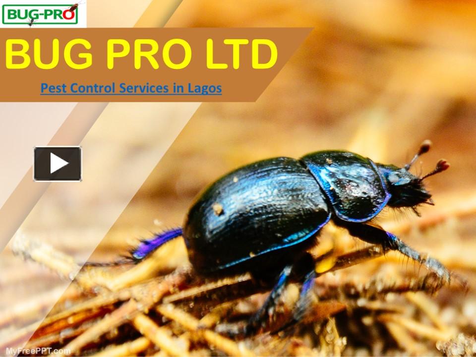 PPT – Fumigation Companies in Lagos - Get Rid of Unwanted Pests ...