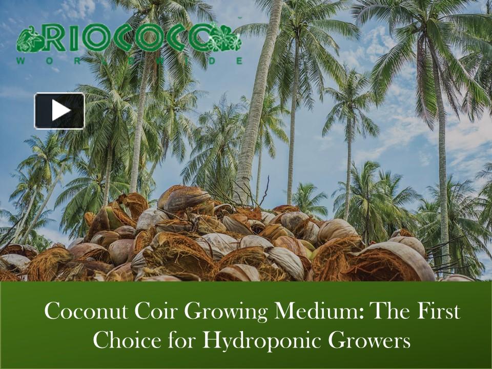 Coconut Coir Growing Medium: The First Choice for Hydroponic Growers ...