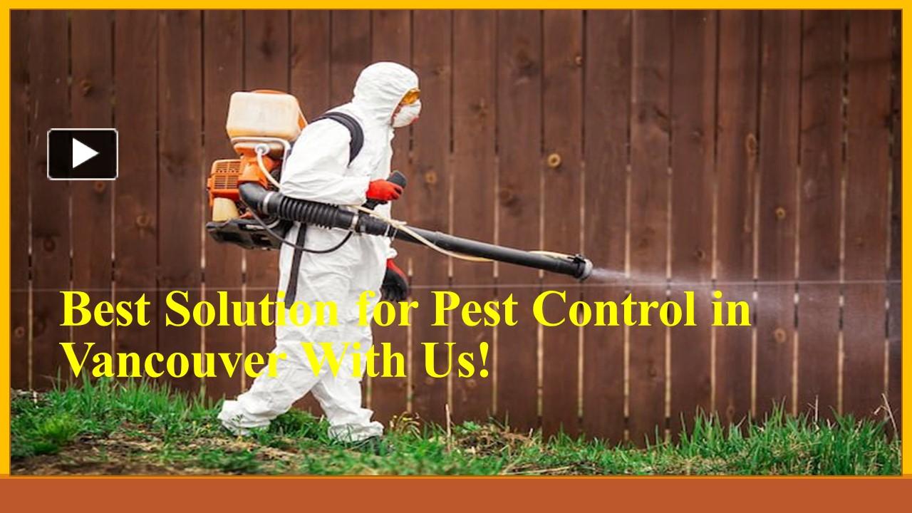 PPT – Best Solution for Pest Control in Vancouver With Us! PowerPoint ...