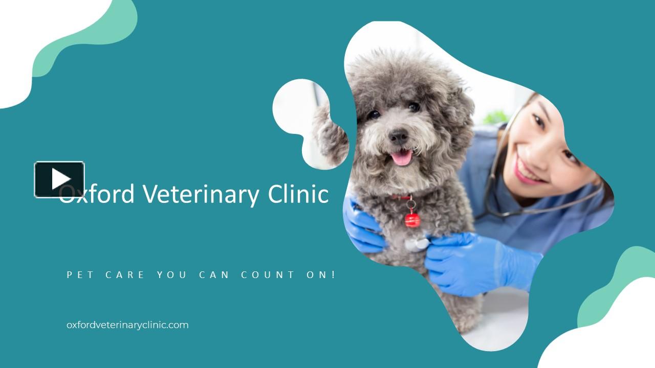 PPT – Veterinary Services PowerPoint presentation | free to download ...