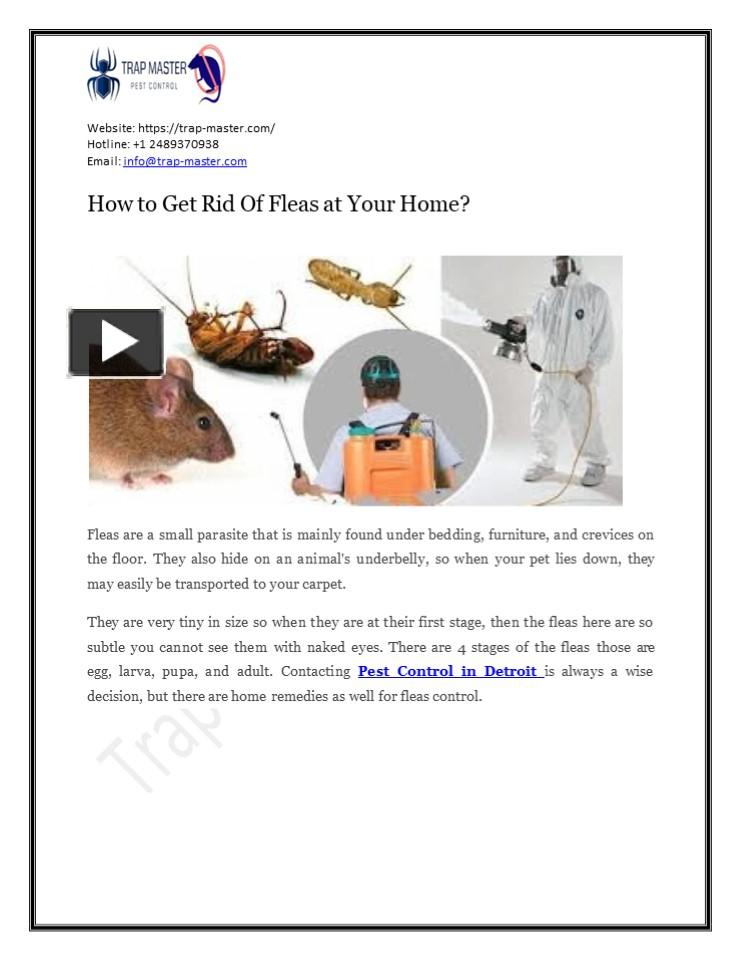 How To Get Rid Of Fleas At Your Home - Trap Master (1) presentation ...