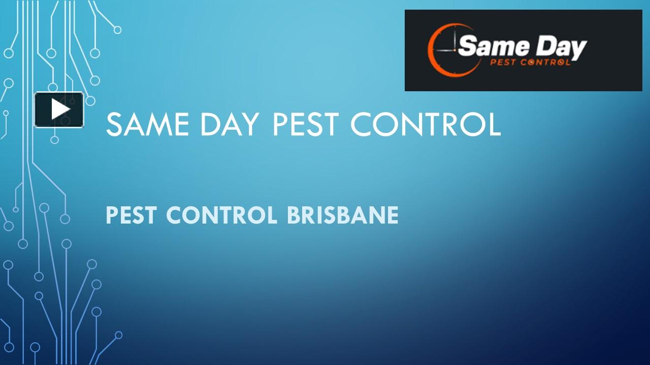 Pest Control Brisbane 2 Presentation Free To Download