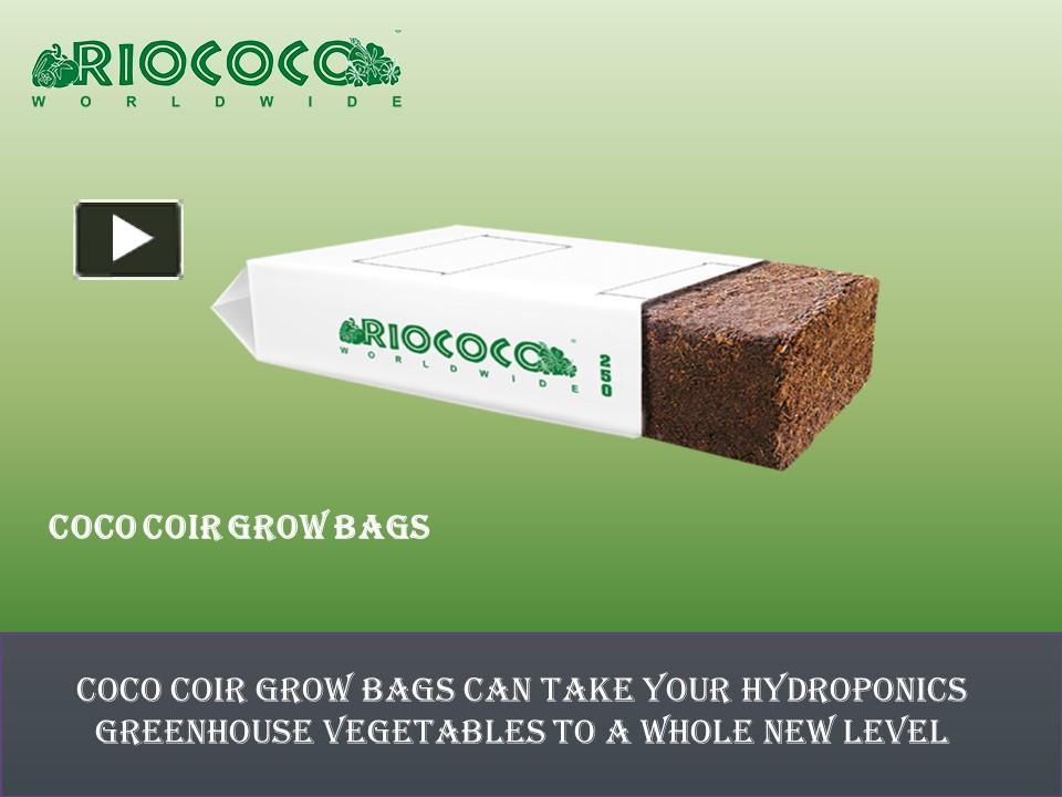 PPT – Coco Coir Grow Bags Can Take Your Hydroponics Greenhouse ...