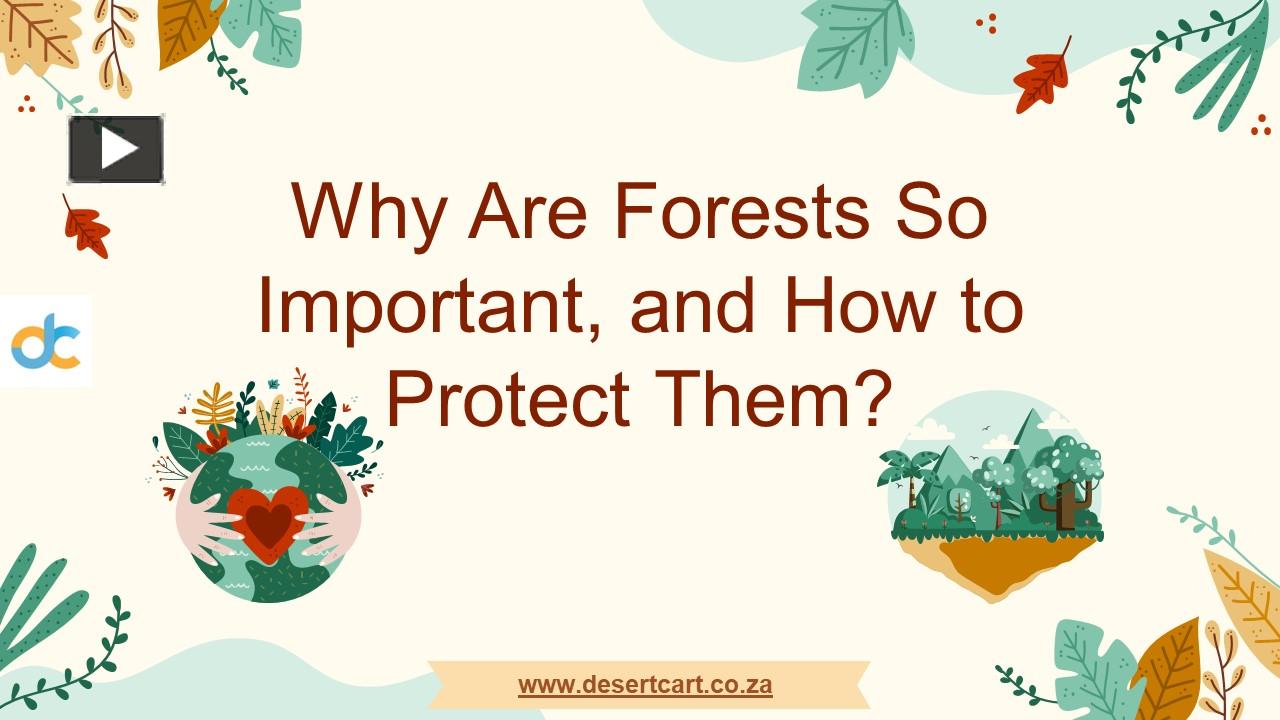 Why Are Forests So Important, and How to Protect Them? presentation ...