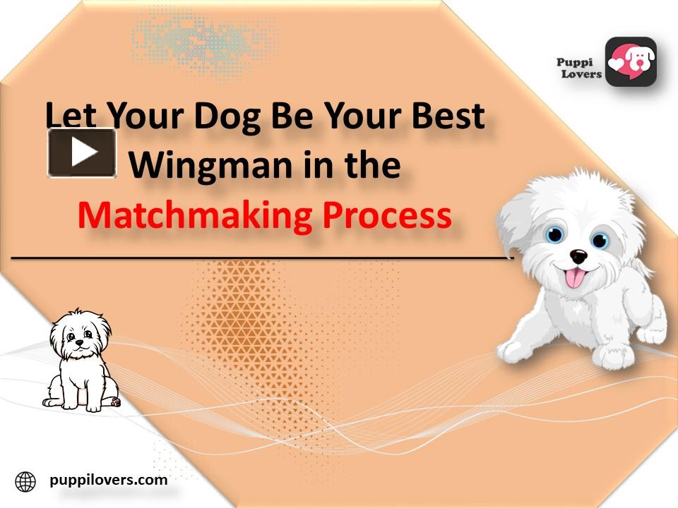 Let Your Dog Be Your Best Wingman in the Matchmaking Process ...