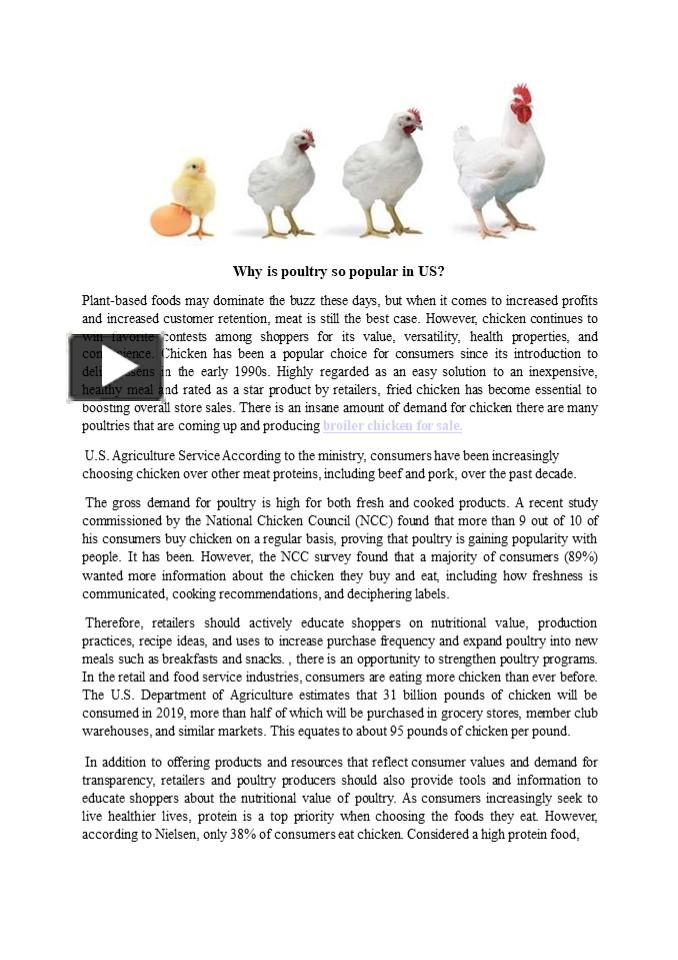 PPT – Why is poultry so popular in US ? PowerPoint presentation | free ...