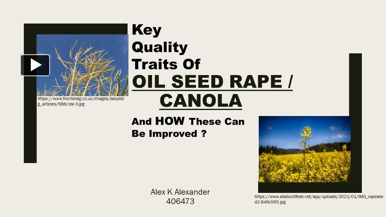 PPT – Oil PowerPoint presentation | free to download - id: 95c8ca-NjdlY