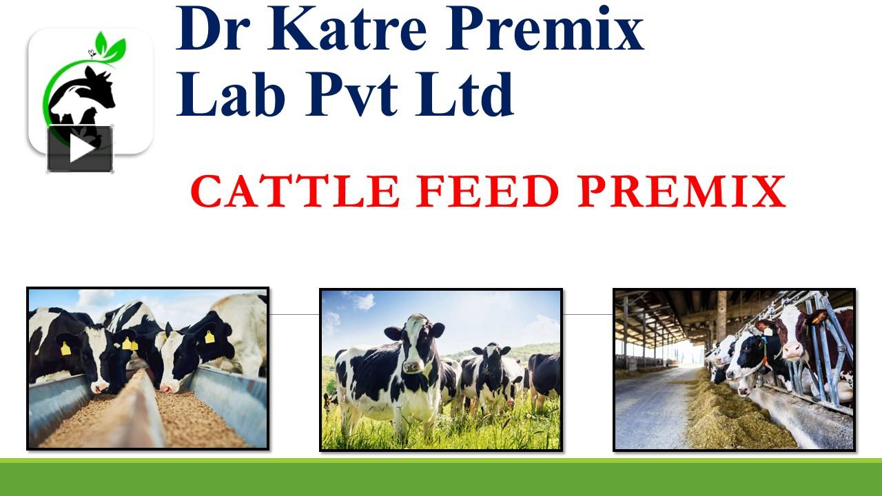 PPT – Cattle Feed Premix By Dr Katre Premix Lab Pvt Ltd PowerPoint ...