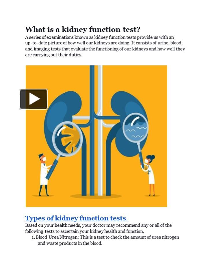 All You Need to Know About Kidney Function Test Types,Purposes and Cost ...