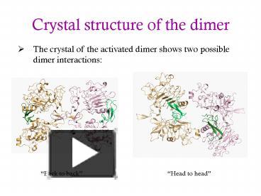 PPT – Crystal structure of the dimer PowerPoint presentation | free to ...