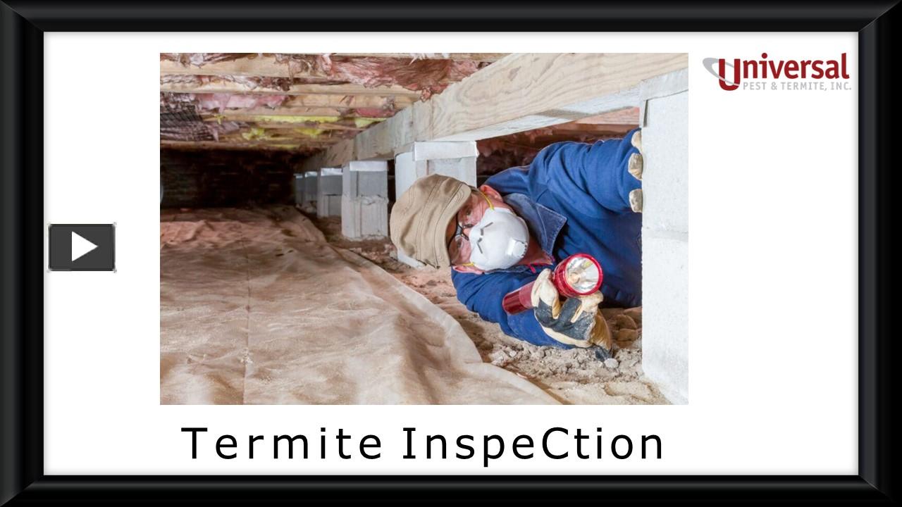 PPT – Termite Inspection PowerPoint presentation | free to download ...