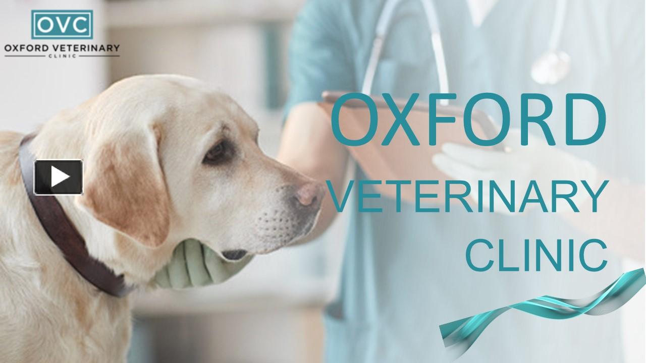 Everything You Need To Know About Veterinarians presentation | free to ...