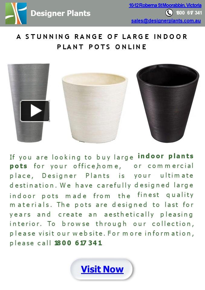 PPT – A stunning range of large indoor plant pots online PowerPoint ...