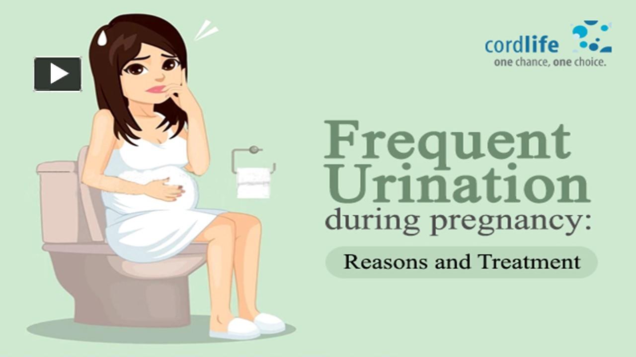 Frequent Urination During Pregnancy: Reasons and Treatment presentation ...