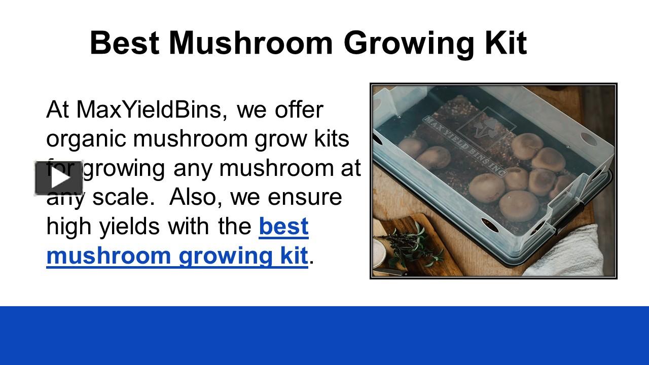 PPT – Best Mushroom Growing Kit PowerPoint presentation | free to ...