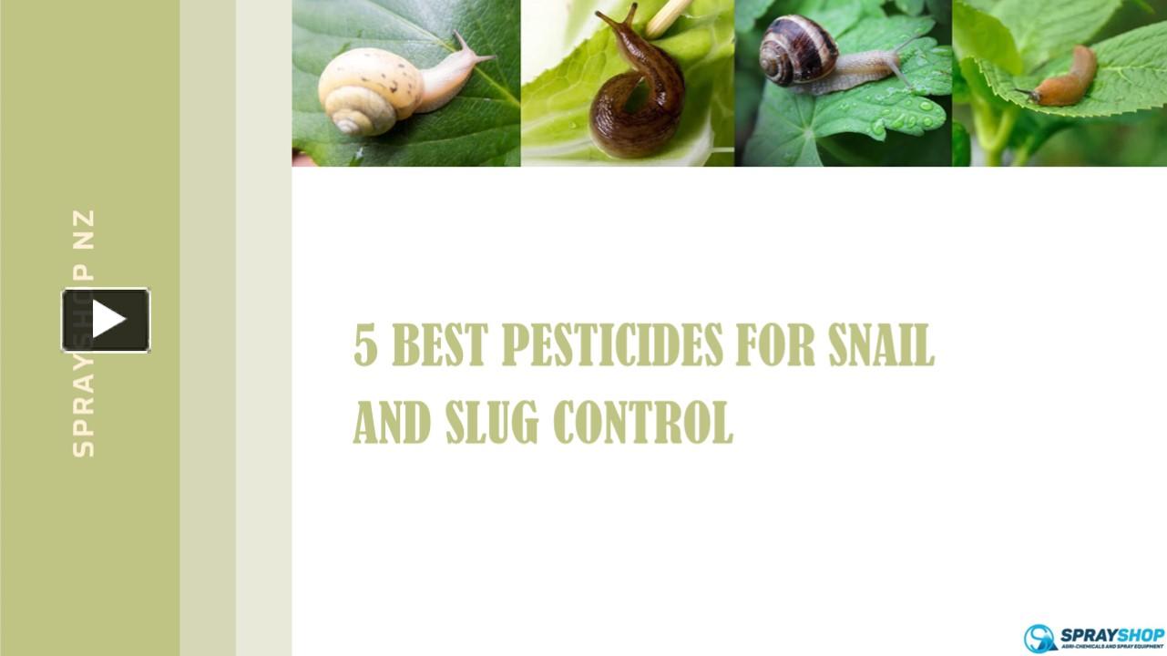 5 Best Pesticides for Snail and Slug Control presentation | free to ...