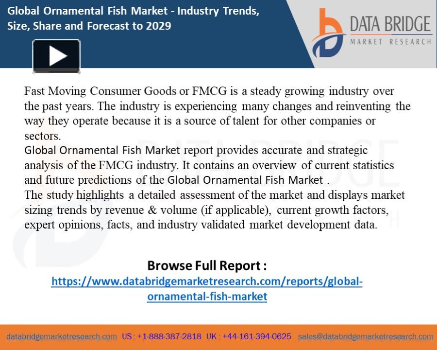 PPT – Ornamental Fish Market Scope and Market Size PowerPoint ...