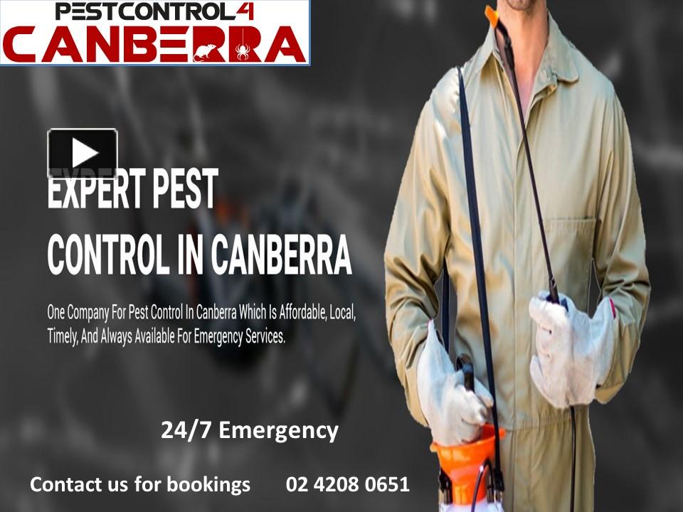 PPT – Pest Control 4 Canberra PowerPoint presentation | free to ...