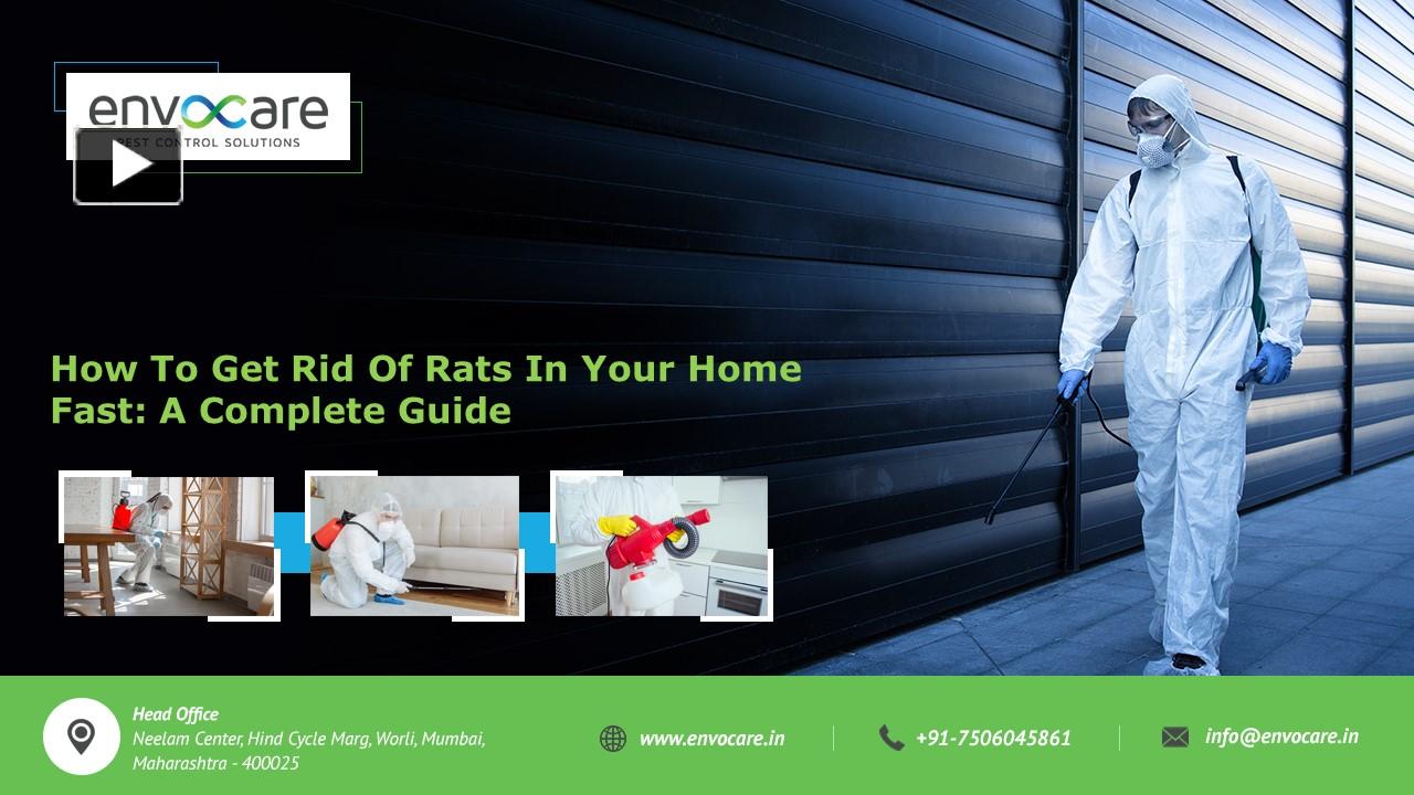 PPT – How To Get Rid Of Rats In Your Home Fast: A Complete Guide ...