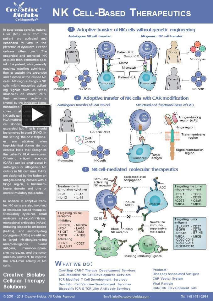 PPT – Surfarray™ Cell Microarray Technology for CAR T Cell Research ...