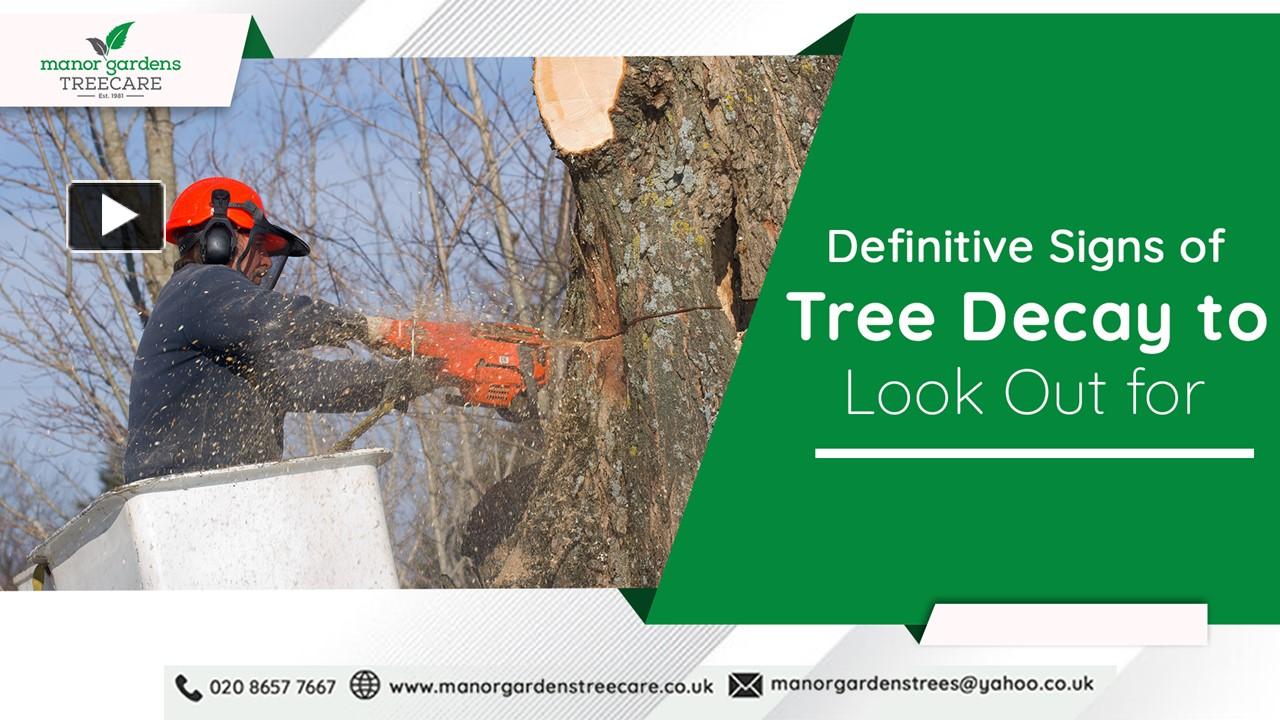 Definitive Signs of Tree Decay to Look Out for presentation | free to ...