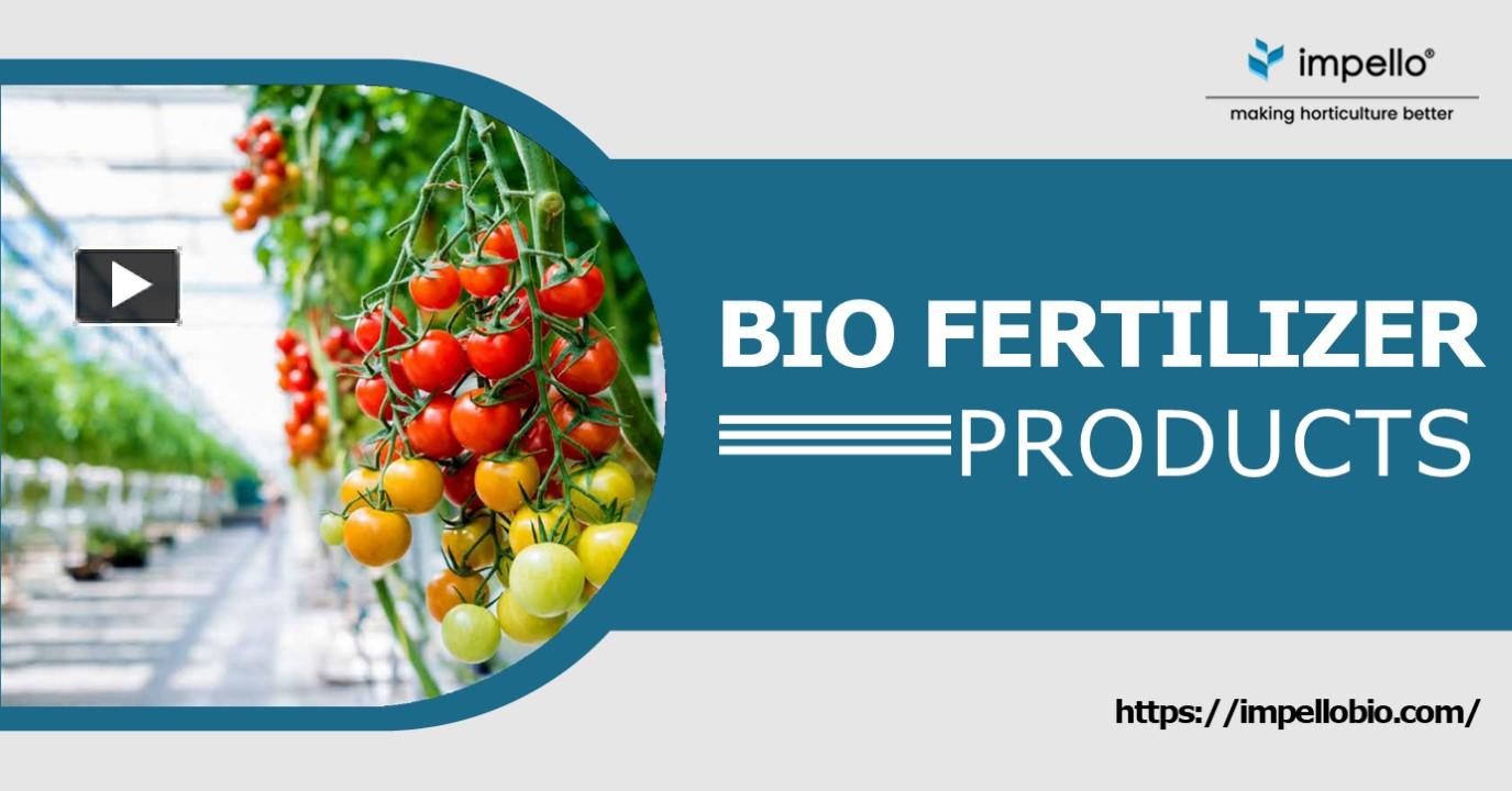 PPT – How can bio-fertilizers help in plant growth? PowerPoint ...