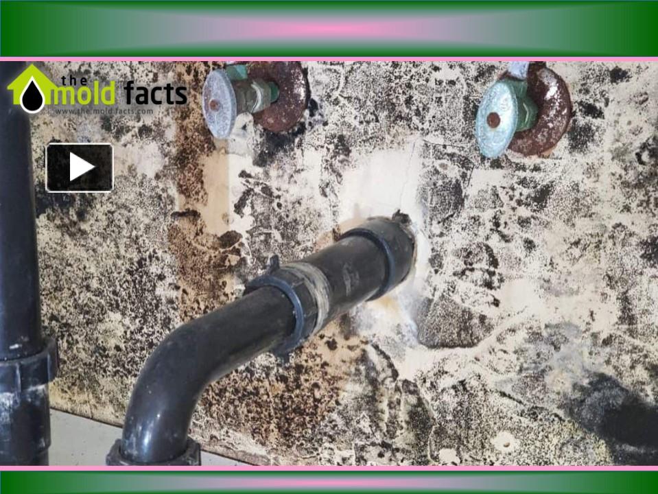Mold Remediation - Mold Removal presentation | free to download