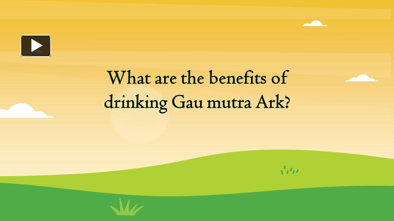 What are the benefits of drinking Gir cow Ark? presentation | free to ...