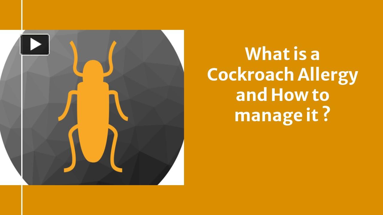 PPT – What is a cockroach allergy and how to manage it? PowerPoint ...