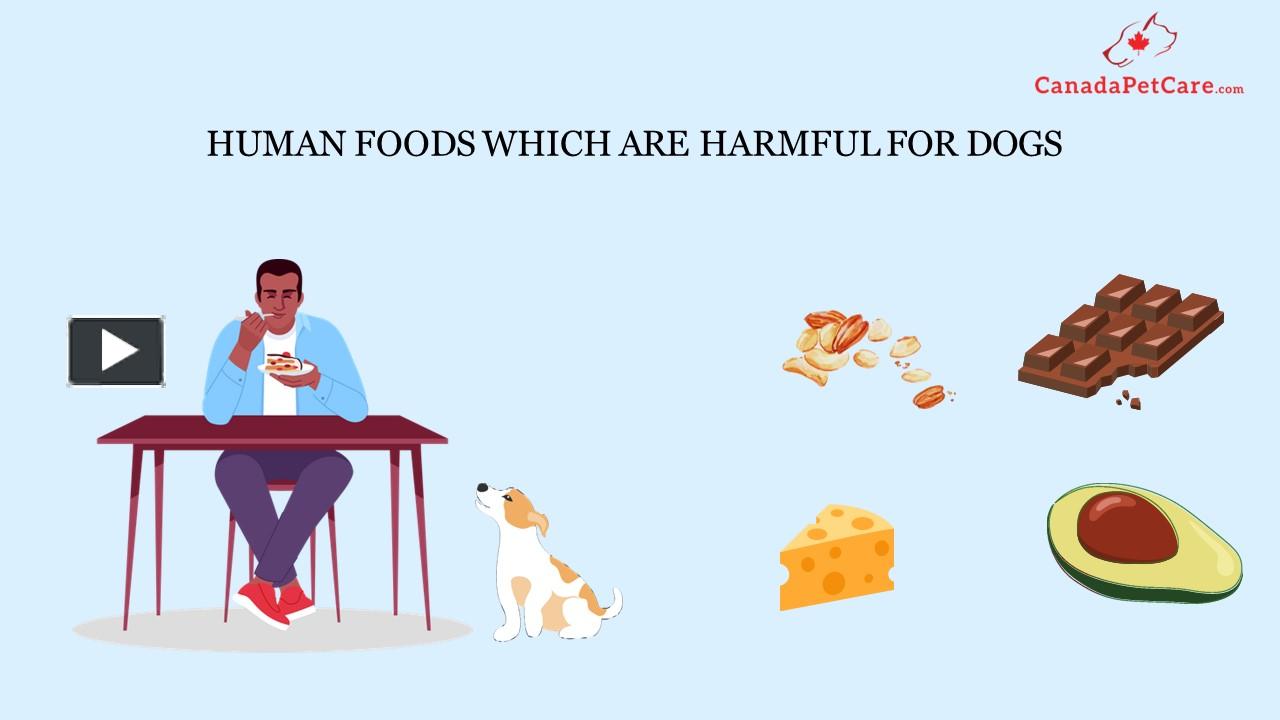 PPT – Human foods which are not suitable for Dogs Health PowerPoint ...
