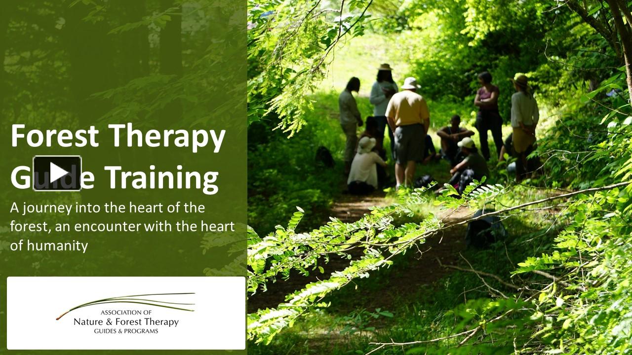PPT – Becoming a Forest Guide: Unleashing Your Inner Explorer ...