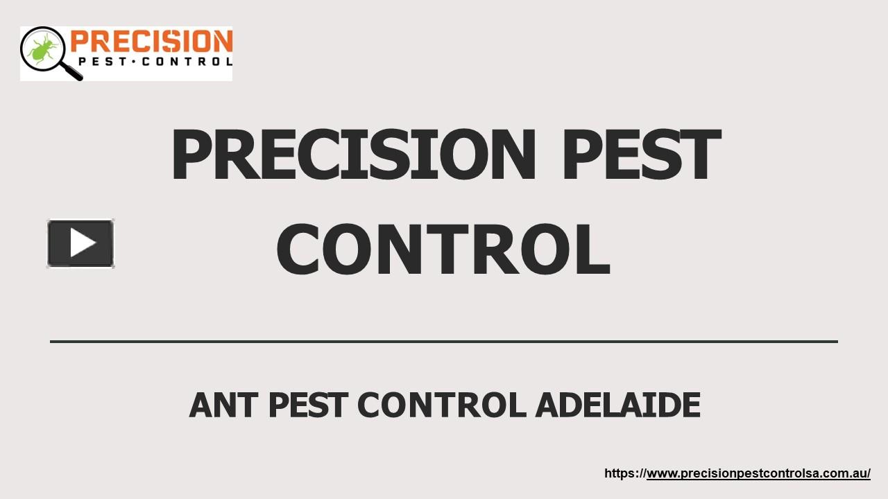 Ant Pest Control Adelaide | Precision Pest Control in AU presentation ...