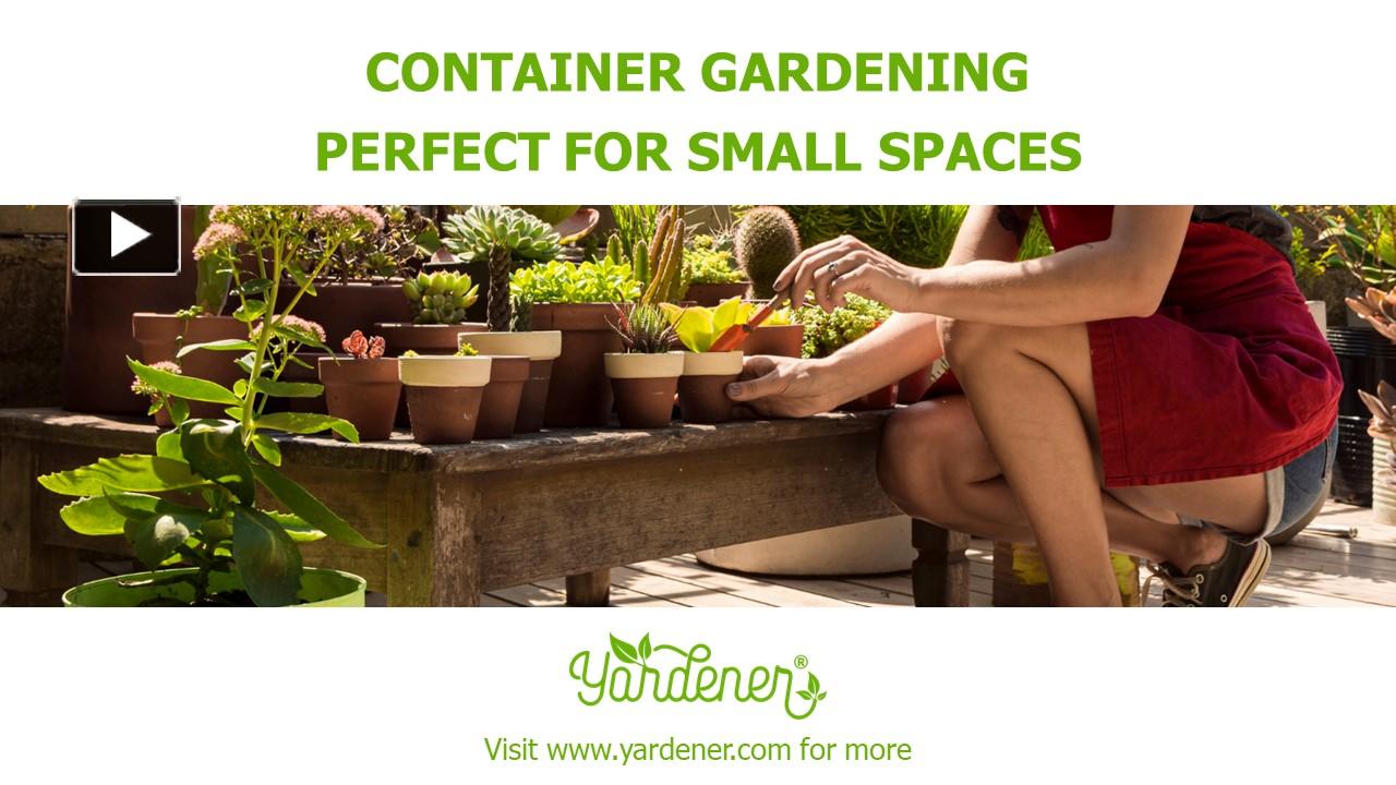 PPT – Container Gardening: Perfect for Small Spaces PowerPoint ...