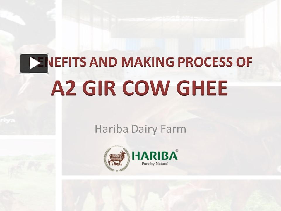 PPT – A2 Cow Ghee Made With Traditional Bilona Method PowerPoint ...