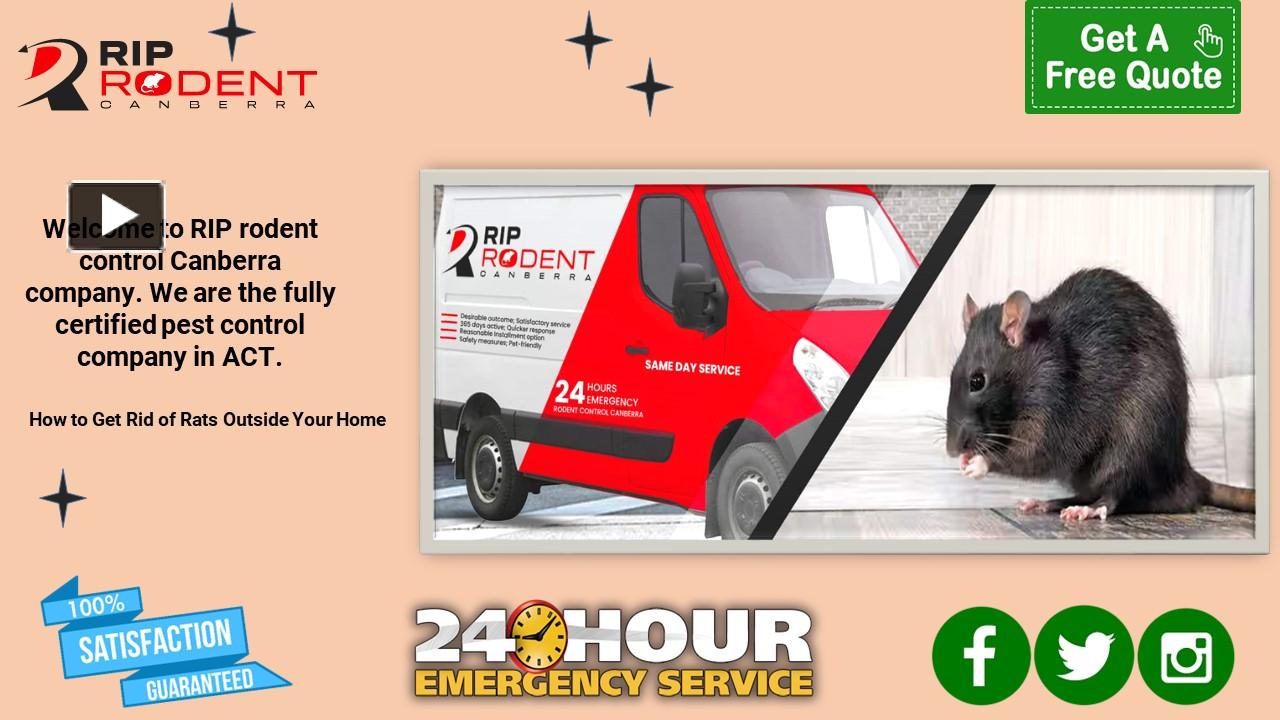 PPT – RIP Rodent Control Canberra ACT PowerPoint presentation | free to ...