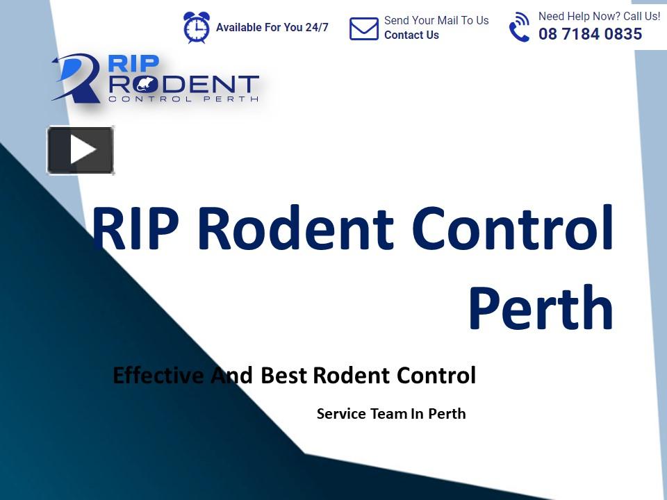 PPT – RIP Rodent Control Perth PowerPoint presentation | free to ...