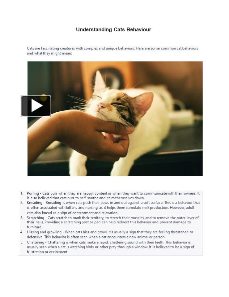 Understanding Cats Behaviour presentation | free to download