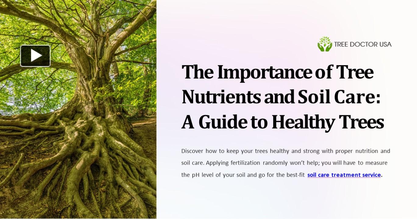 The Importance of Tree Nutrients and Soil Care A Guide to Healthy Trees ...