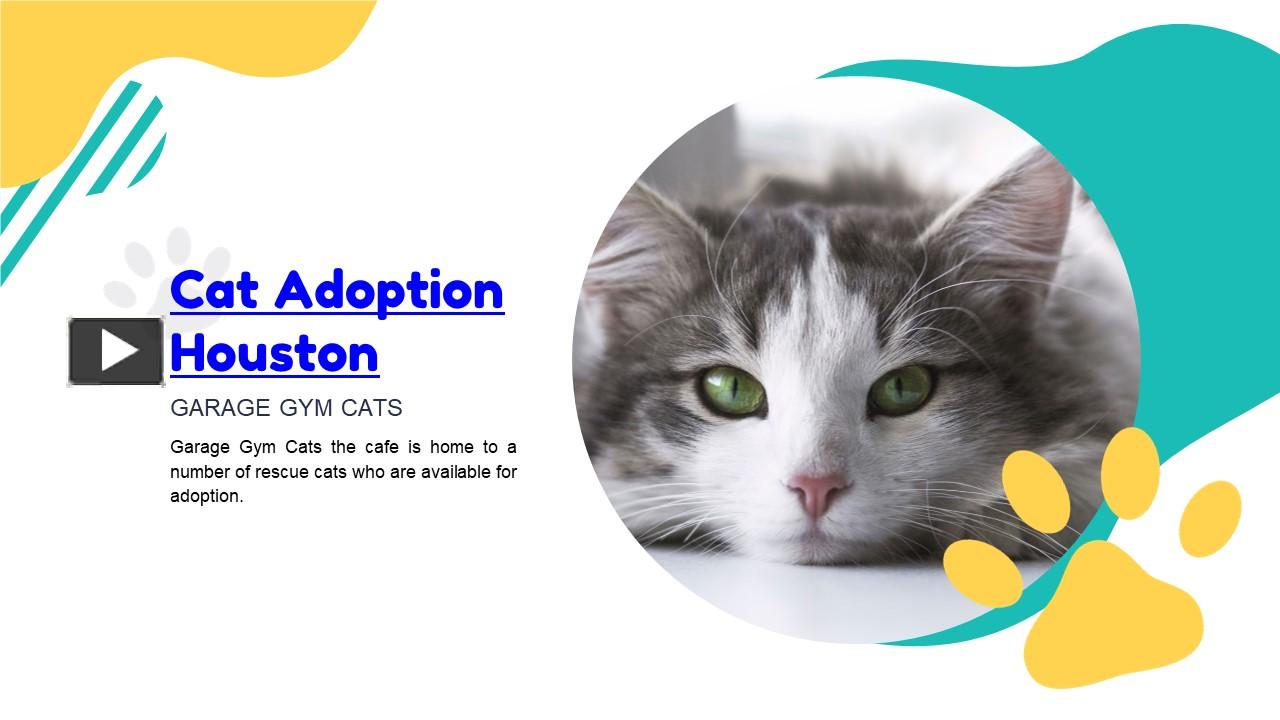 Cat Adoption Houston presentation | free to download