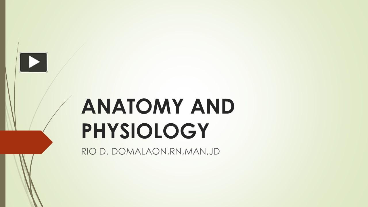 Human Overview presentation | free to download