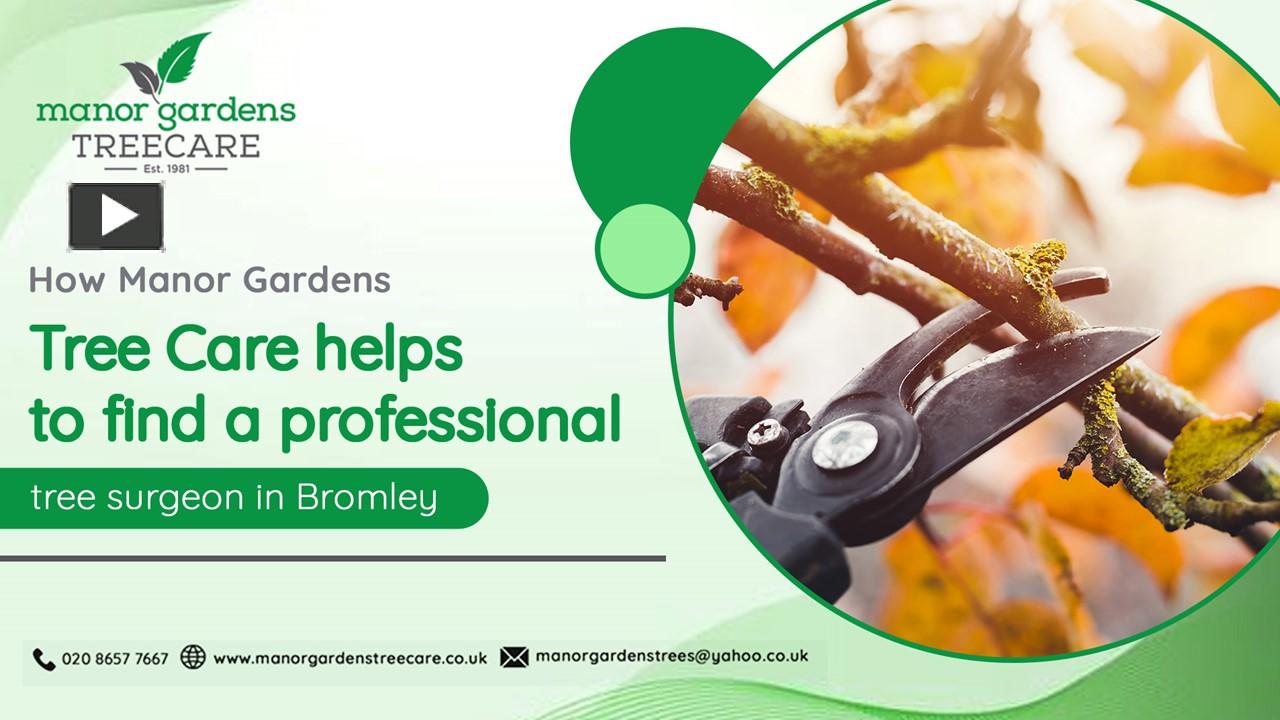 How Manor Gardens Tree Care helps to find a professional tree surgeon ...