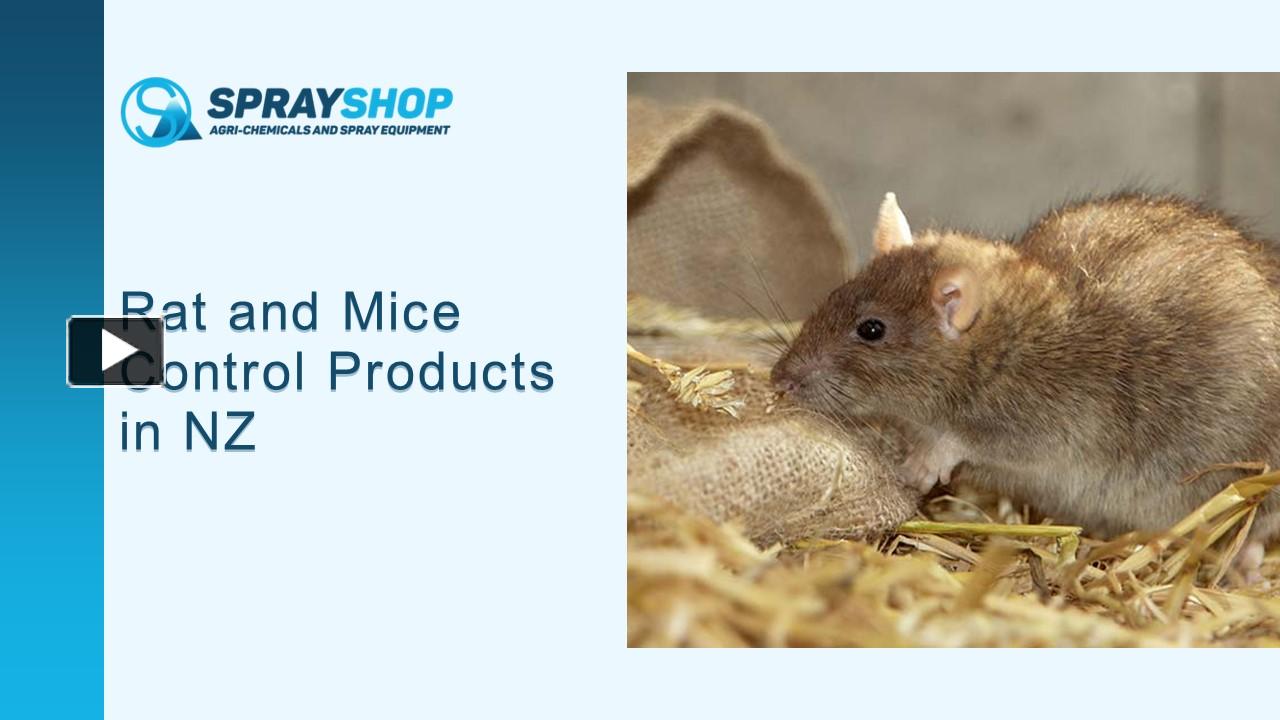 PPT – Rat and Mice Control Products in NZ - SprayShop PowerPoint ...