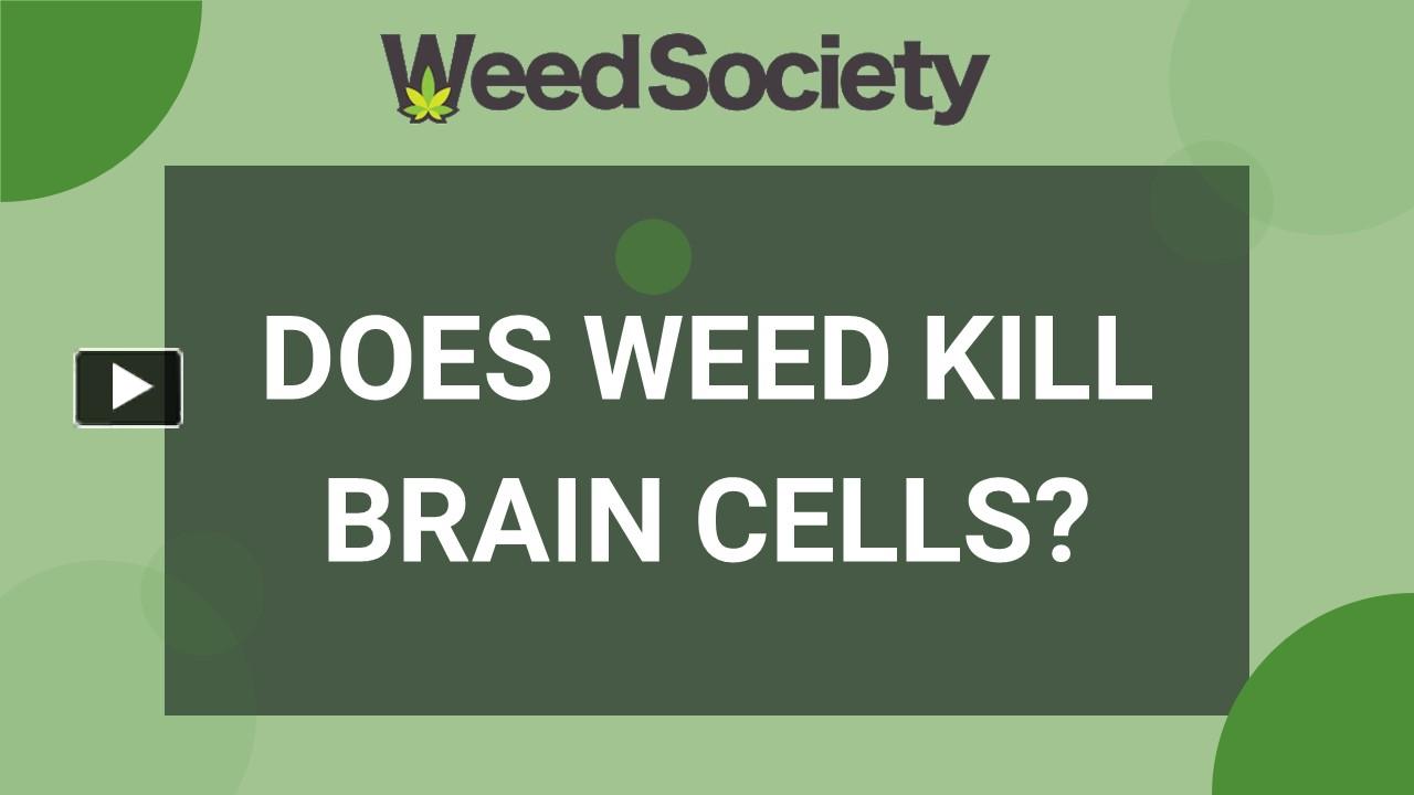 PPT – Does Weed Kill Brain Cells? PowerPoint presentation | free to ...