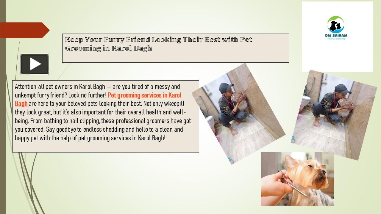 PPT – Keep Your Furry Friend Looking Their Best with Pet Grooming in ...