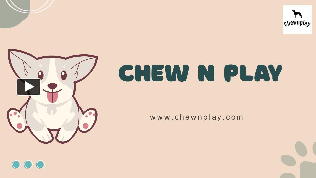 PPT – Dog Leash and Harness Set - Chew n Play PowerPoint presentation ...