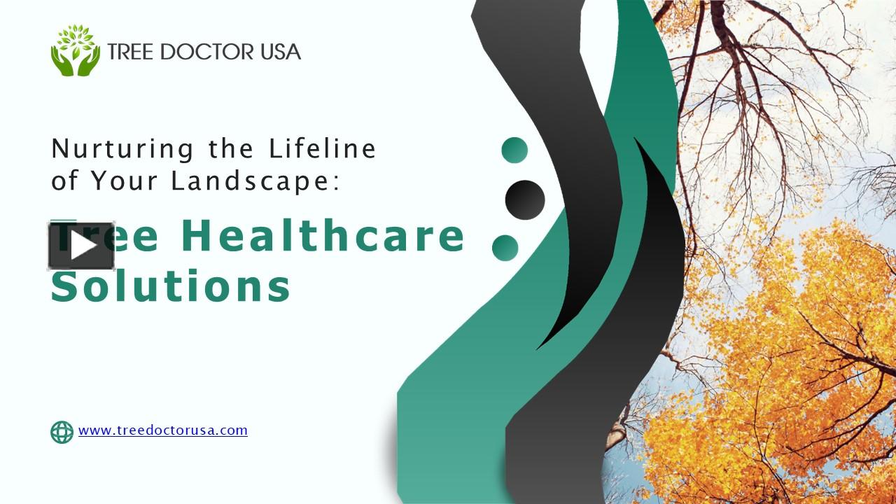 Nurturing the Lifeline of Your Landscape: Tree Healthcare Solutions ...