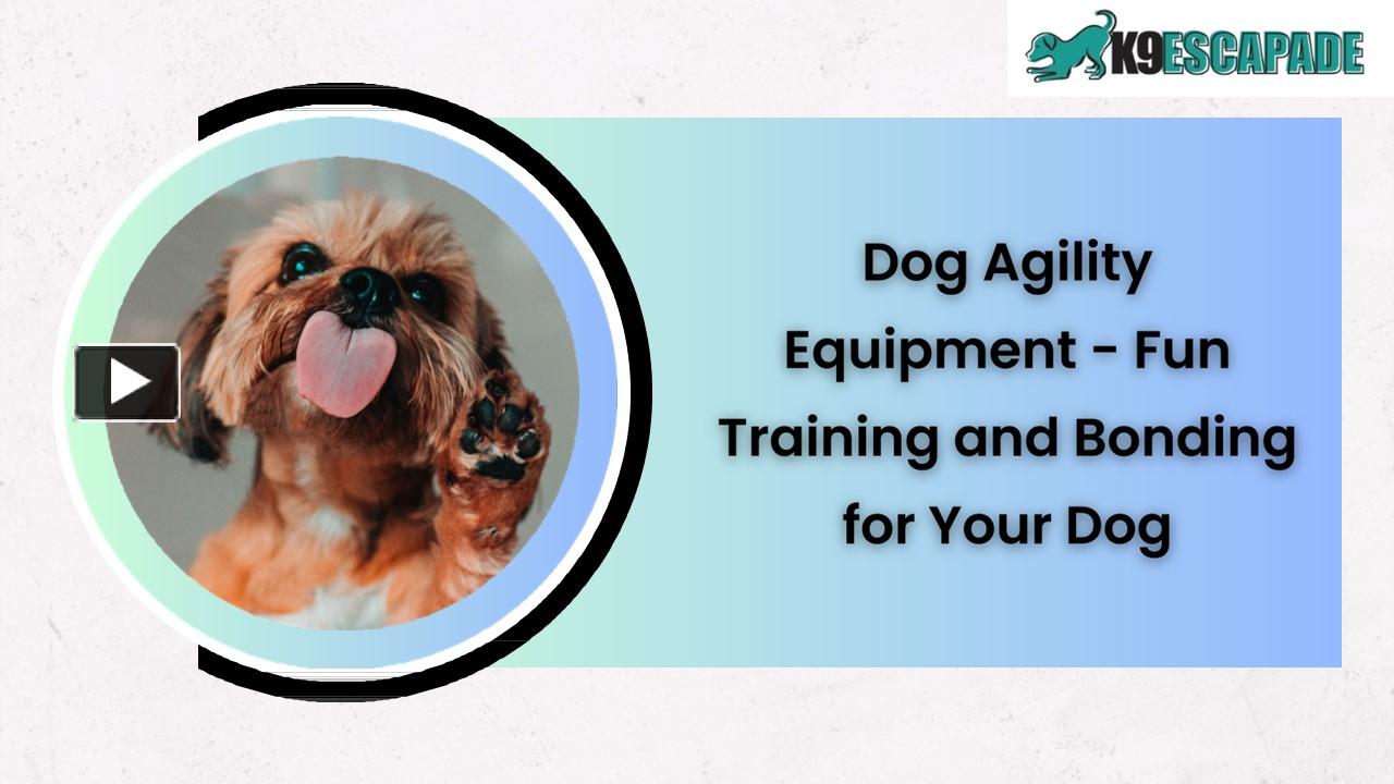 PPT – Get High-Quality Dog Agility Equipment Online at K9 Escapad ...