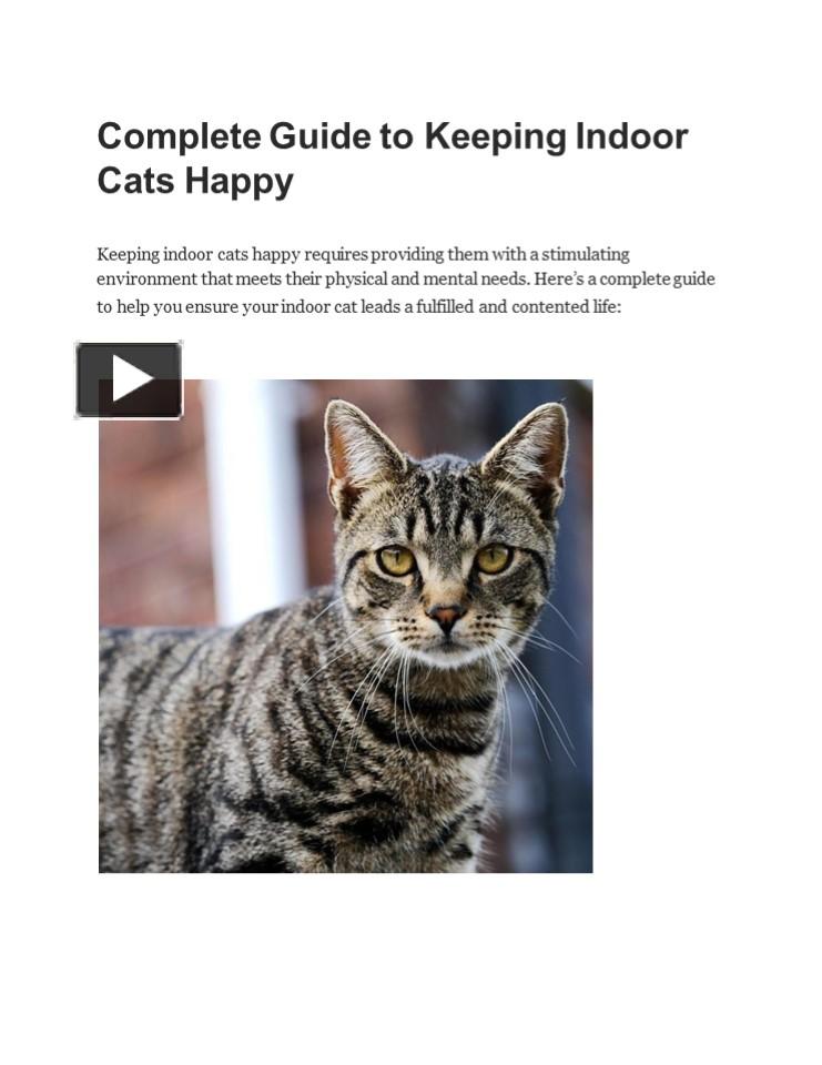 Complete Guide to Keeping Indoor Cats Happy presentation | free to download